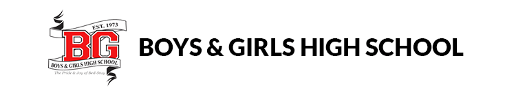 Young Adult Borough Centers – YABC – Boys and Girls High School